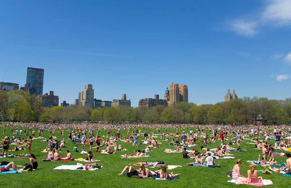 Central park summer Stock Photos, Royalty Free Central park summer ...