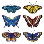 Set of butterflies Stock Vector Image by ©wikki33 #5613039