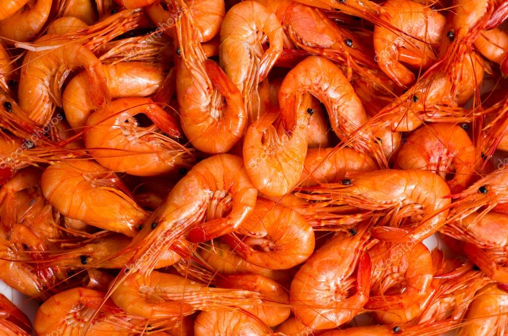 Prawn background Stock Photo by ©MIMOHE 34099351