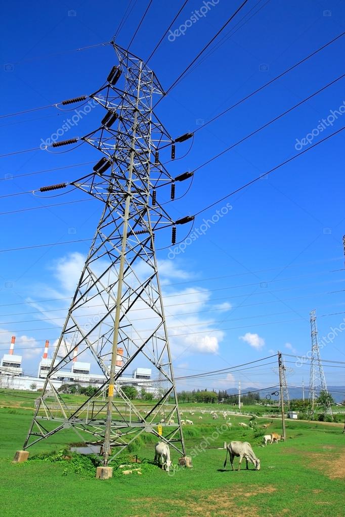 High voltage tower with cow feeding under the blue sky — Stock Photo ...
