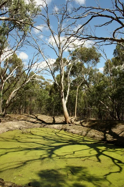 Green outback australia Stock Photos, Royalty Free Green outback ...