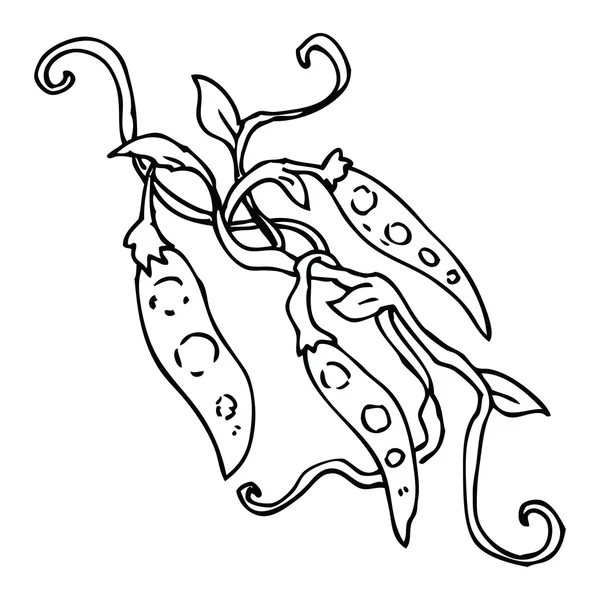 String Beans Clipart Black And White