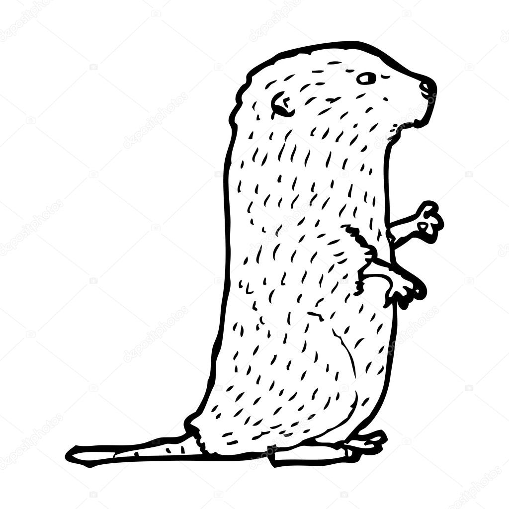 Water vole illustration (raster version) Stock Vector by ...