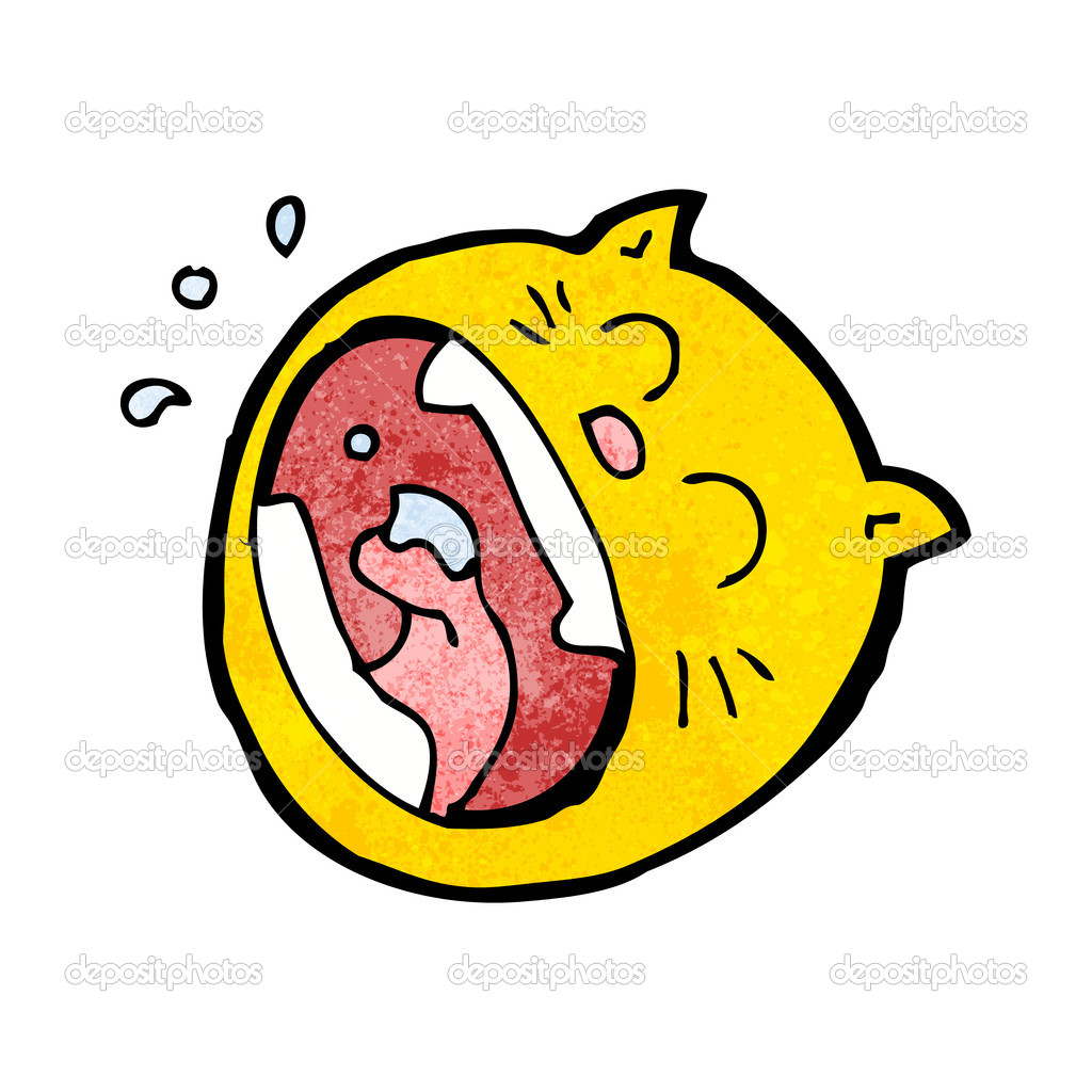 Animated Laughing Cat