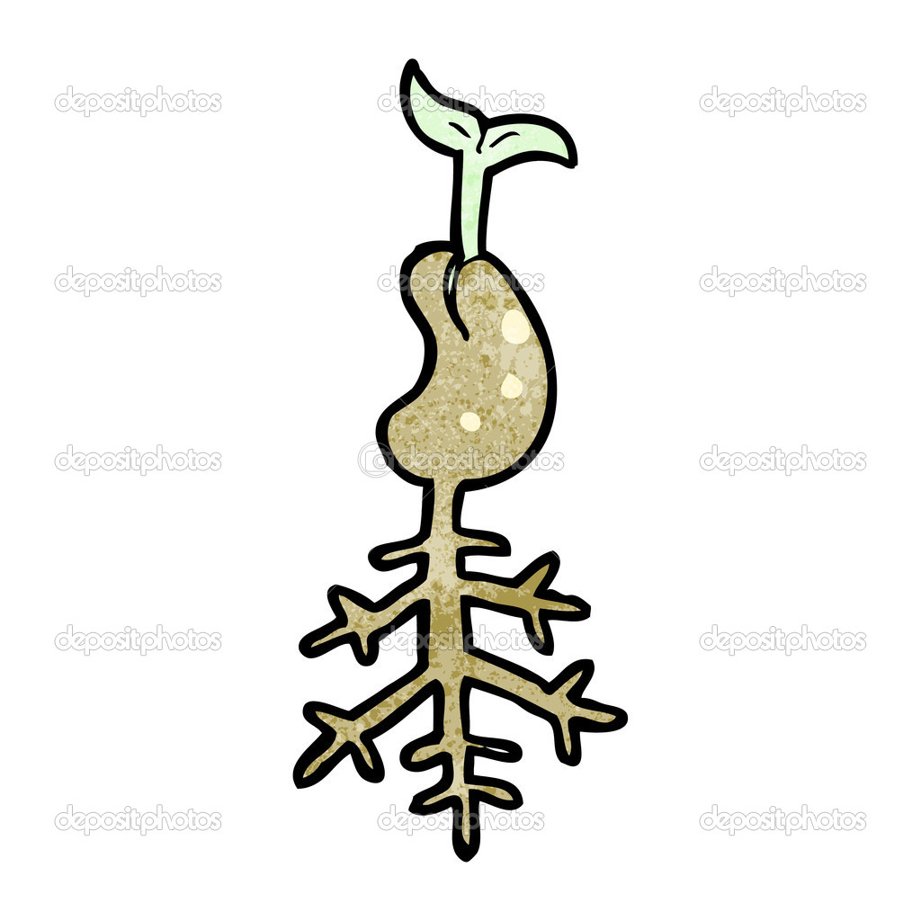 Cartoon seedling Stock Vector by ©lineartestpilot 21552307