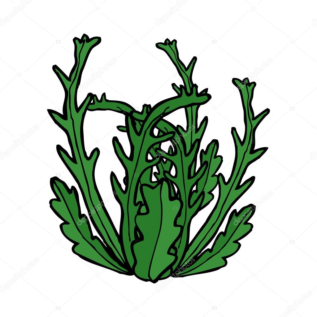 Cartoon seaweed Stock Vector Image by ©lineartestpilot #46436191