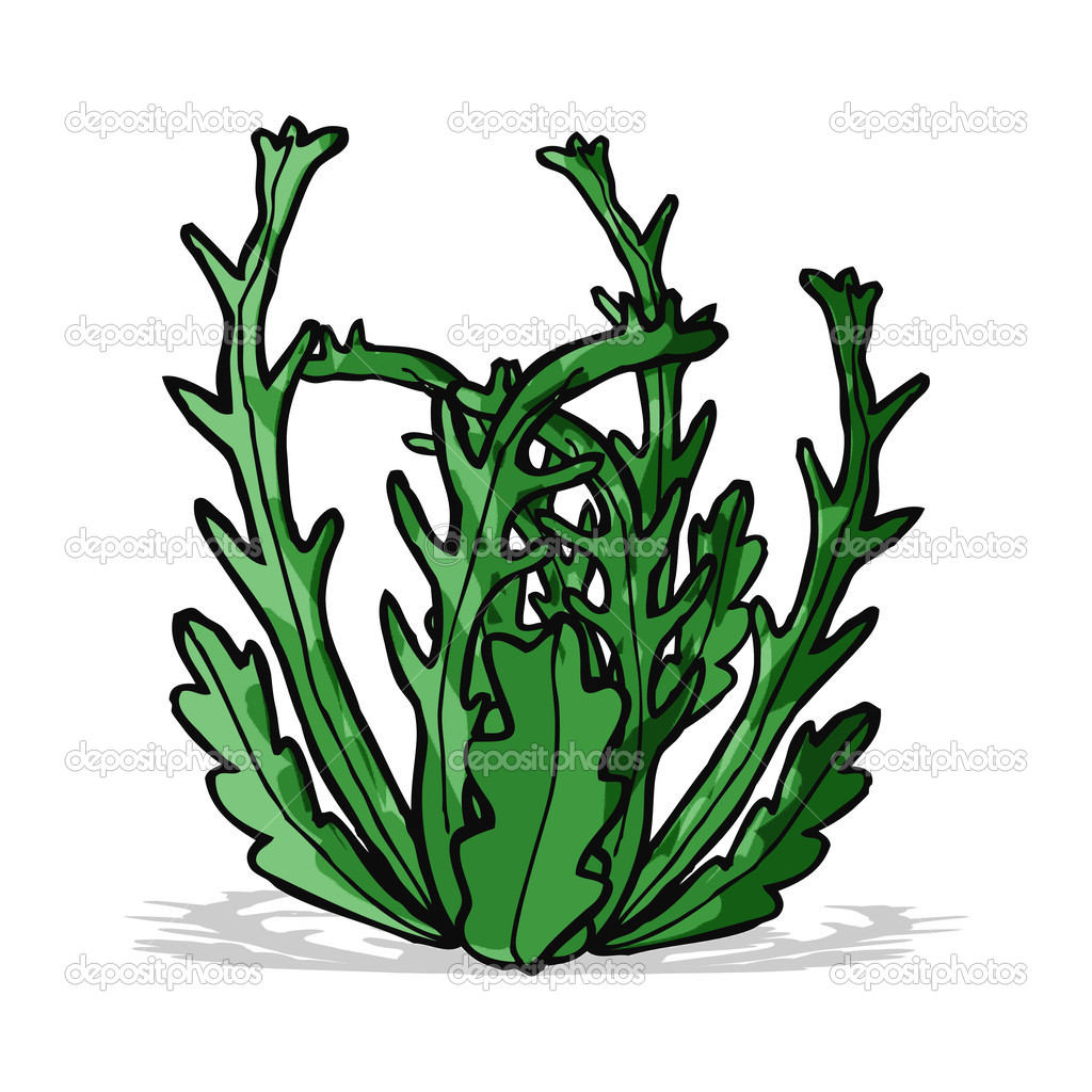 Cartoon seaweed Stock Vector Image by ©lineartestpilot #49983275