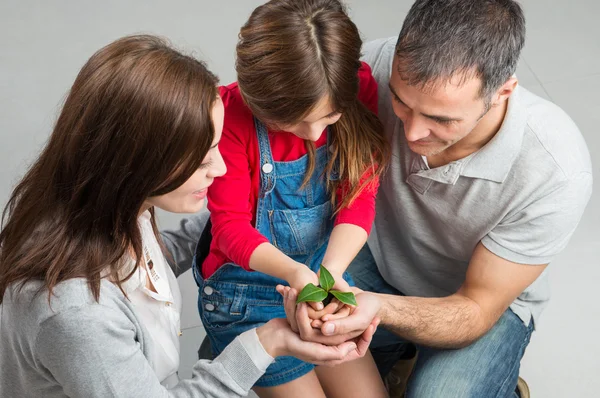 Growing together Stock Photos, Royalty Free Growing together Images ...