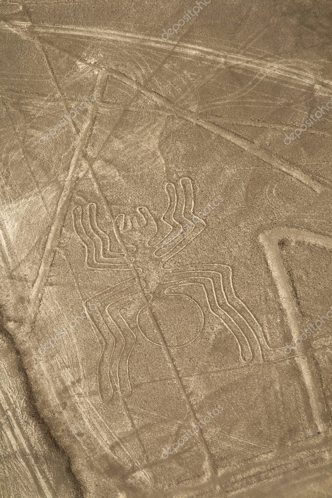 Líneas de Nazca, Perú - Spider: fotografía de stock © yulan #17991201 ...