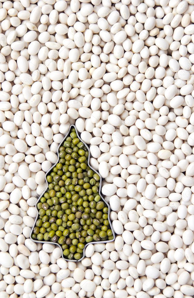 Frijoles verdes en forma de árbol entre frijoles blancos 2023