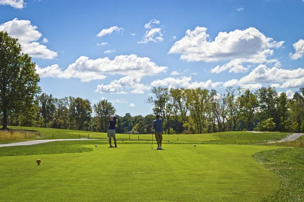 New course Stock Photos, Royalty Free New course Images | Depositphotos