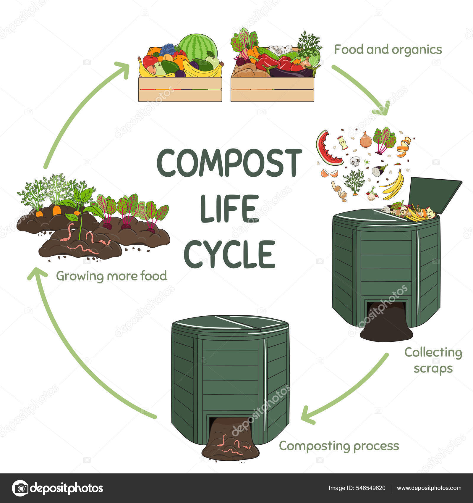 Compost Kehidupan Lingkaran Infografis Proses Penyusunan Skema Daur ...