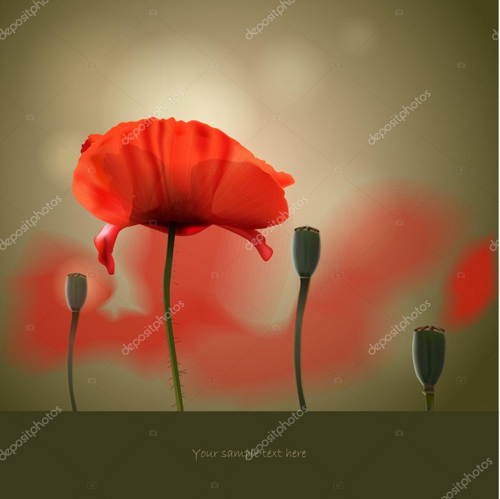 Floral background with poppy on the abstract background Stock Vector ...