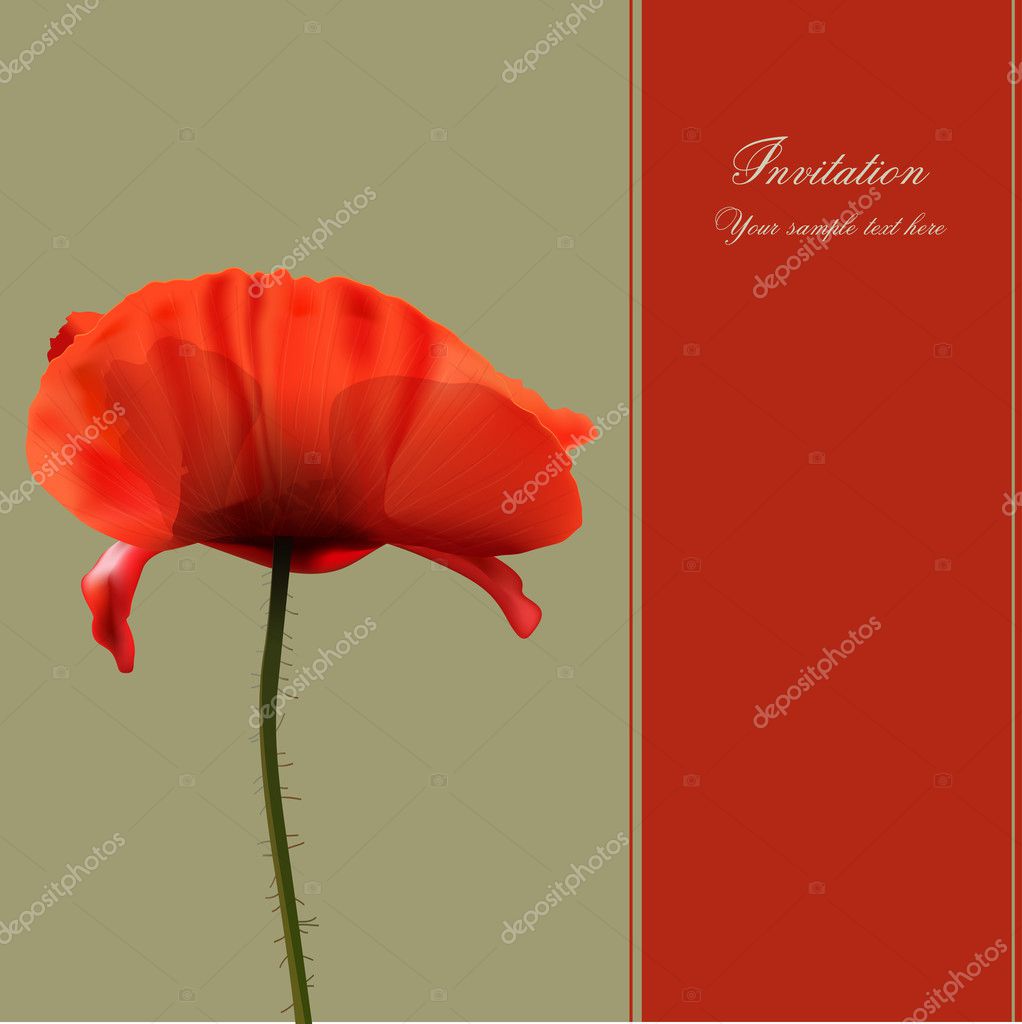Poppy. Invitation card Stock Vector Image by ©indie #34058987
