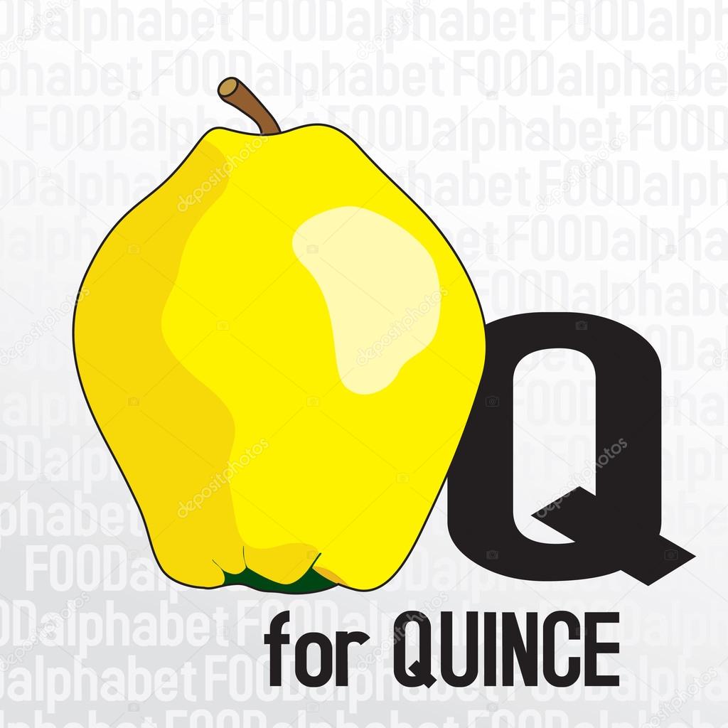 Q for quince, the food alphabet Stock Vector Image by ©Elizabetalexa ...