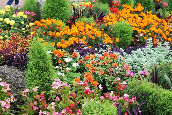 Serious planting Stock Photos, Royalty Free Serious planting Images ...