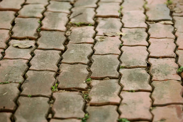 Brick road texture Stock Photos, Royalty Free Brick road texture Images ...