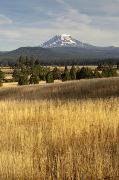 Washington state mountains Stock Photos, Royalty Free Washington state ...