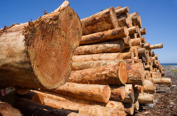 Timber Wood Logging Industry Lumber Raw Logs Stacked - Stock Image ...