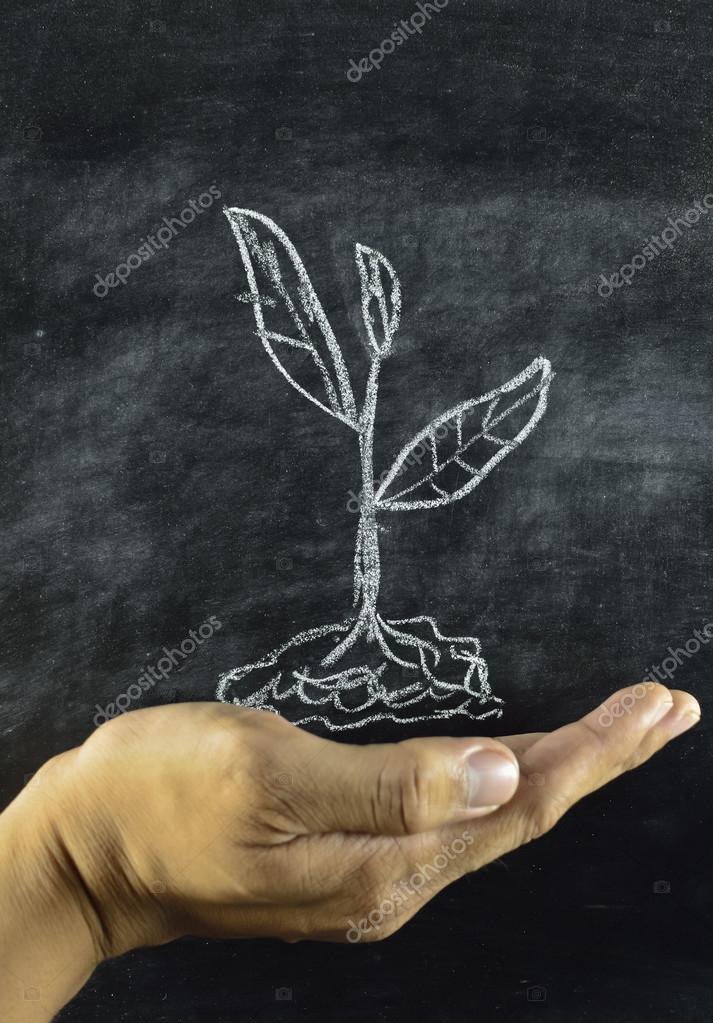 Young plant drawing with chalk on blackboard and human hand — Stock ...