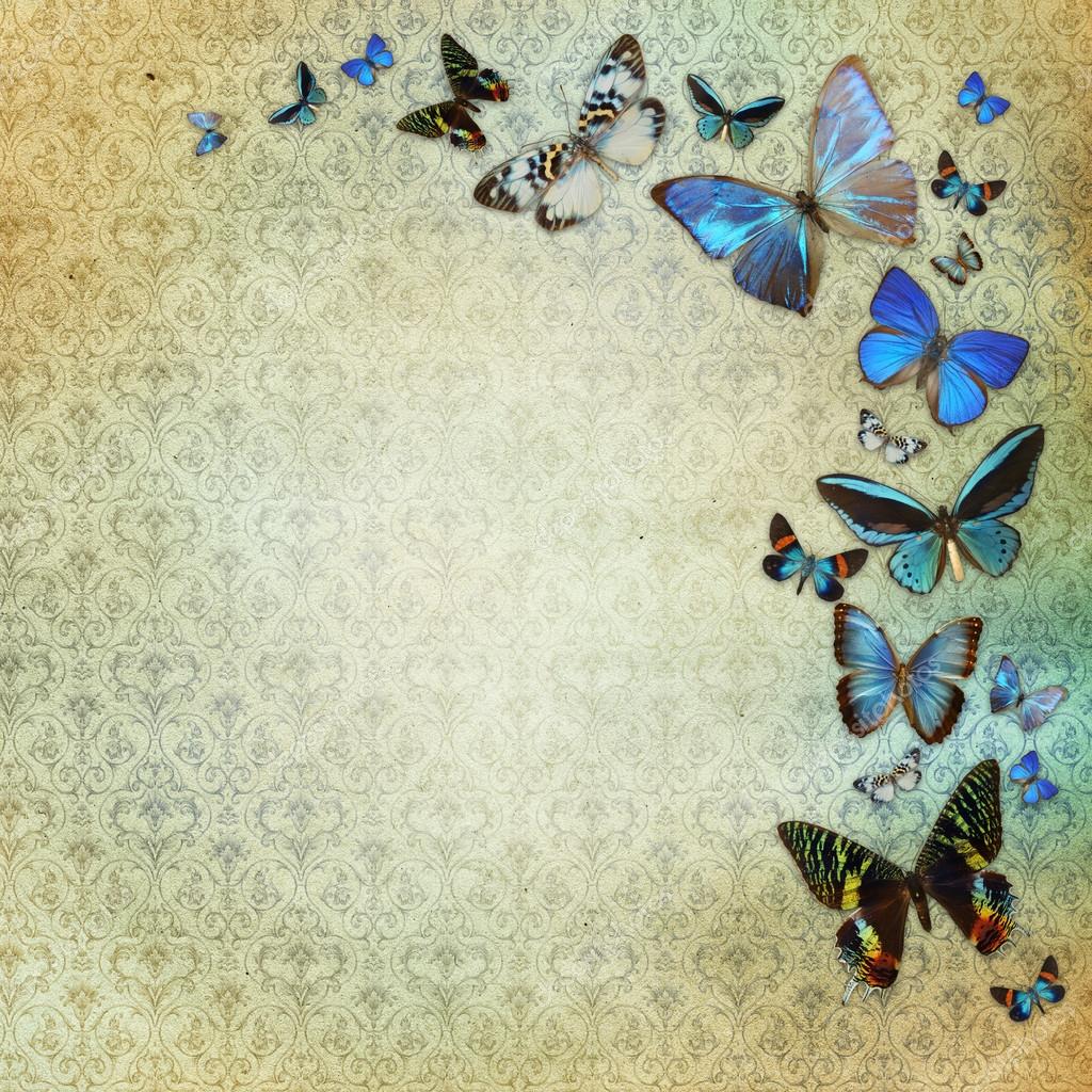 Vintage grunge background with blue butterflies Stock Photo by ©piolka ...