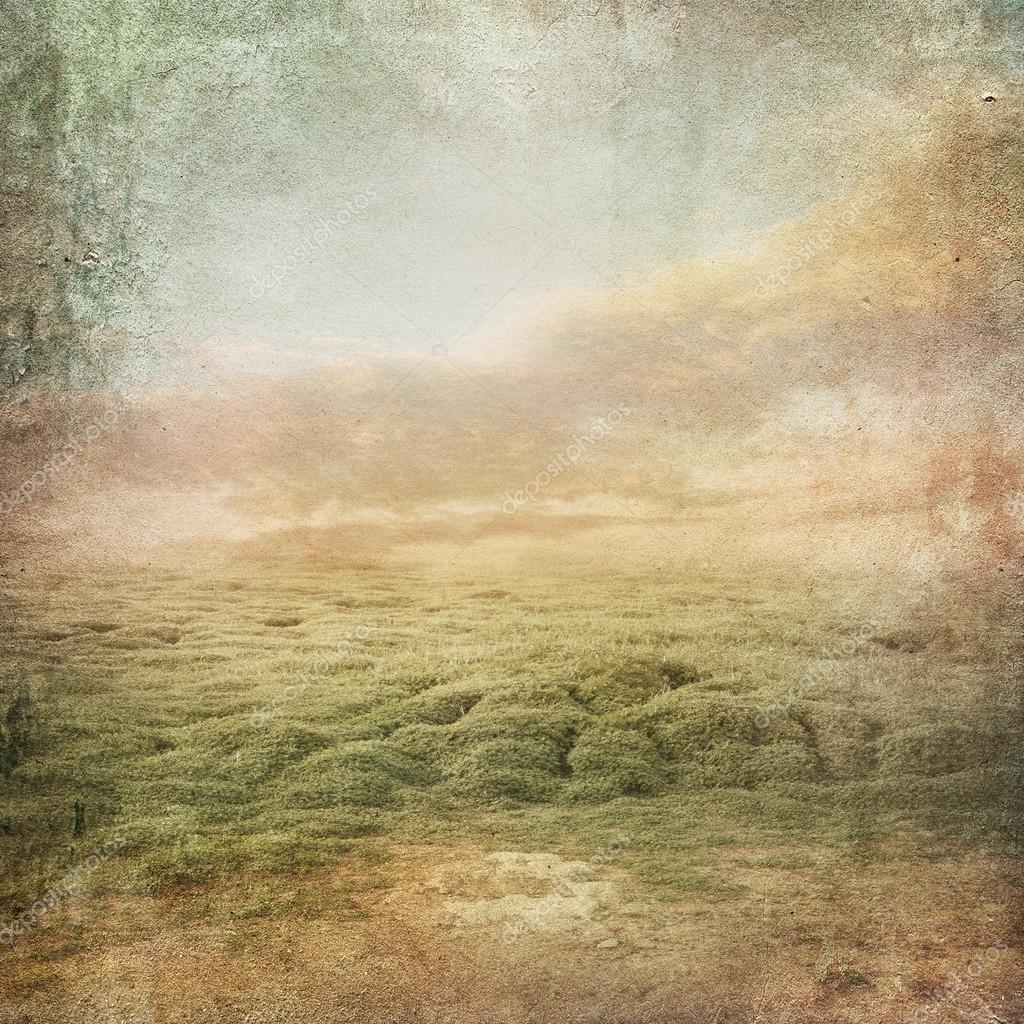 Vintage landscape background with clover field Stock Photo by ©piolka ...