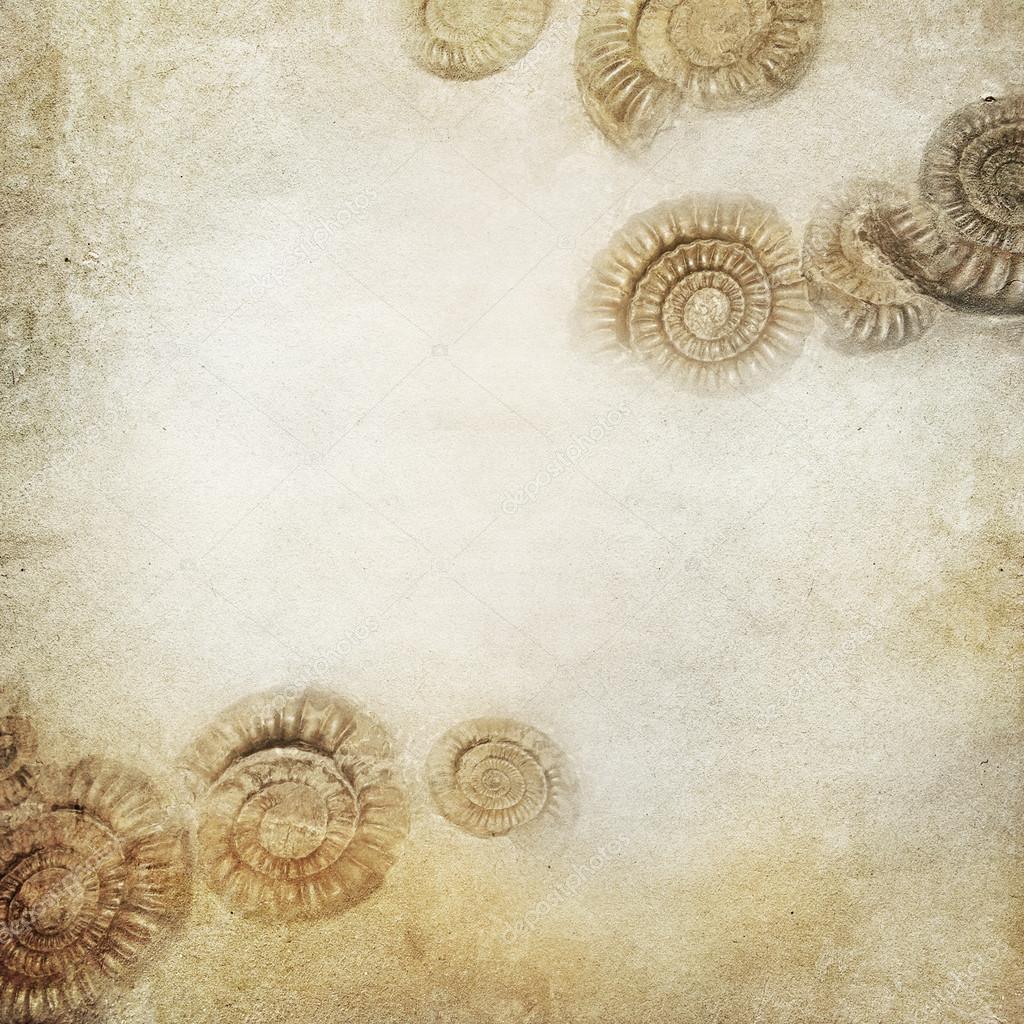 Vintage paper background with fossils — Stock Photo © piolka #39803185