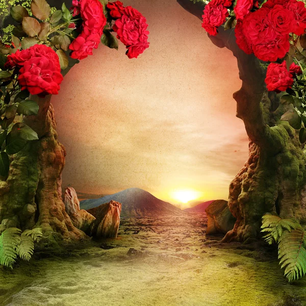 Roses landscape Stock Photos, Royalty Free Roses landscape Images ...