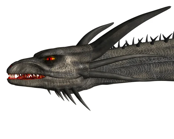 Green Swamp Dragon Stock Photo by ©algolonline 30958187