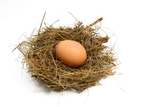 Brown egg in nest Stock Photo by ©akiyoko74 49112411