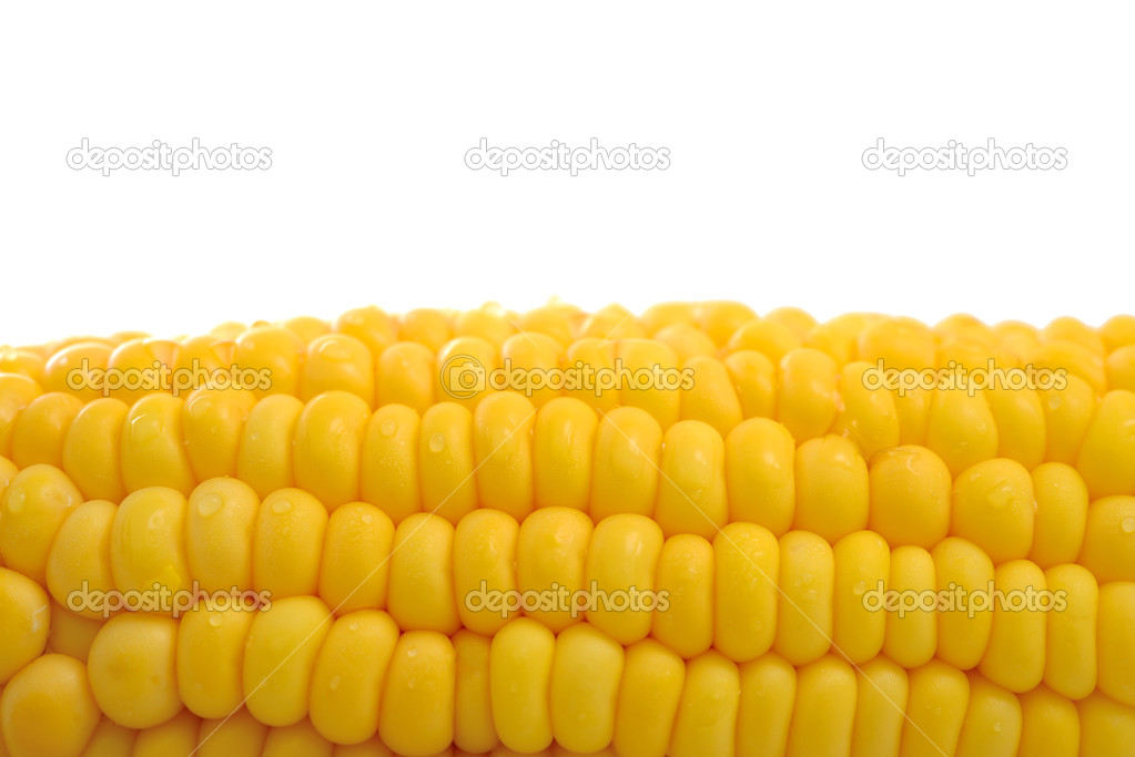 Corn Stock Photo by ©antpkr 48687727