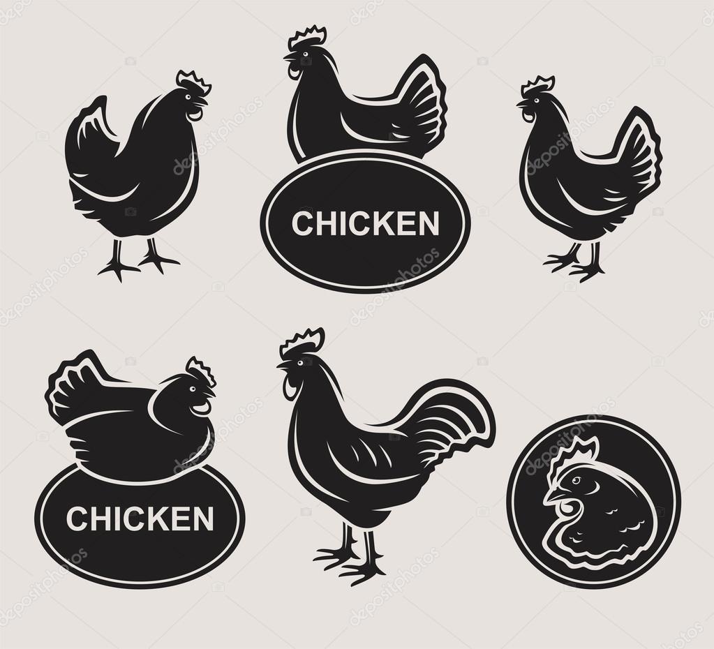 Chicken set Stock Vector Image by ©Vasilev_Ki #42066611
