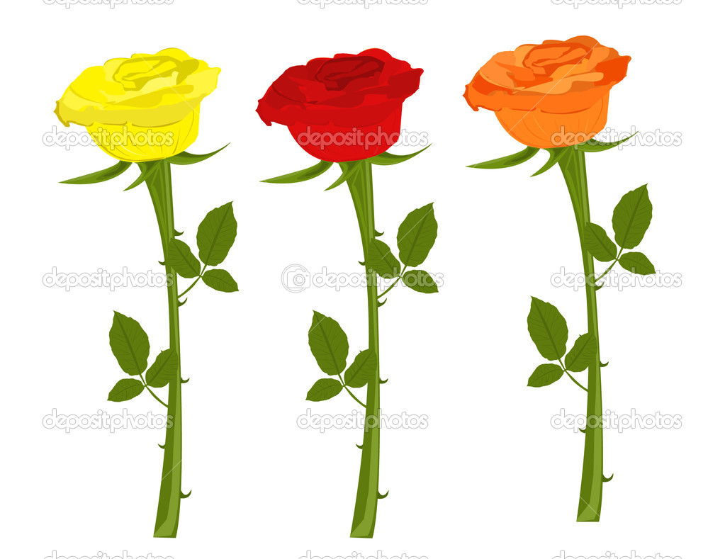 Set of roses Stock Vector Image by ©doricsek18 #12742801
