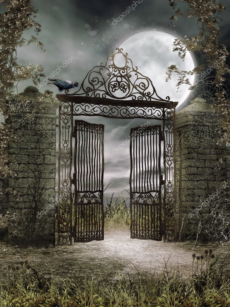 Old iron gate at night — Stock Photo © FairytaleDesign #30653793