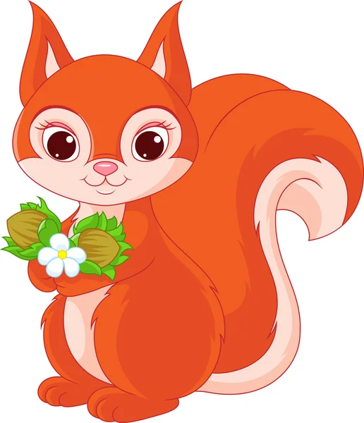 Veverka Stock vektory, Royalty Free Veverka Ilustrace | Depositphotos®