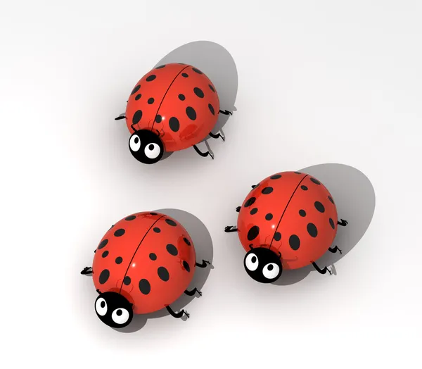 Ladybugs Stock Photos, Royalty Free Ladybugs Images | Depositphotos