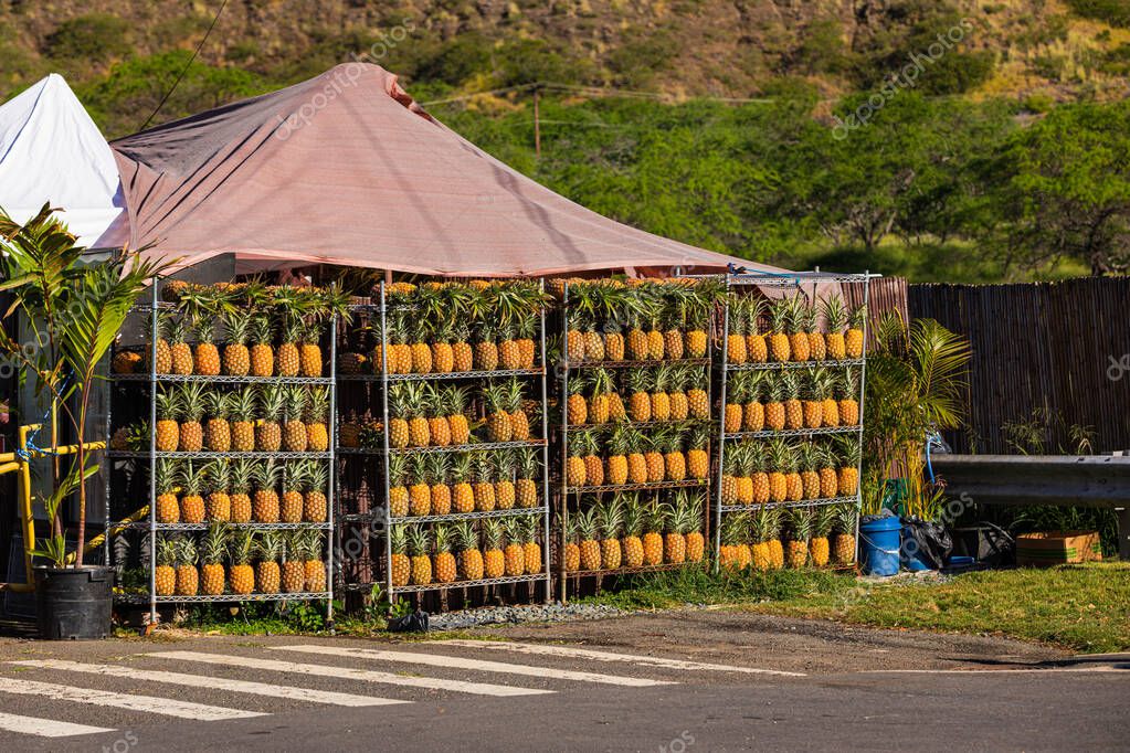 Piñas en estanterías en el mercado listo para la venta en el mercado ...