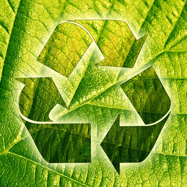 Sustainable materials Stock Photos, Royalty Free Sustainable materials ...