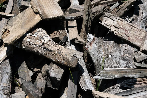 Wood Remains Burned Wood — Stock Photo © PantherMediaSeller #336432902