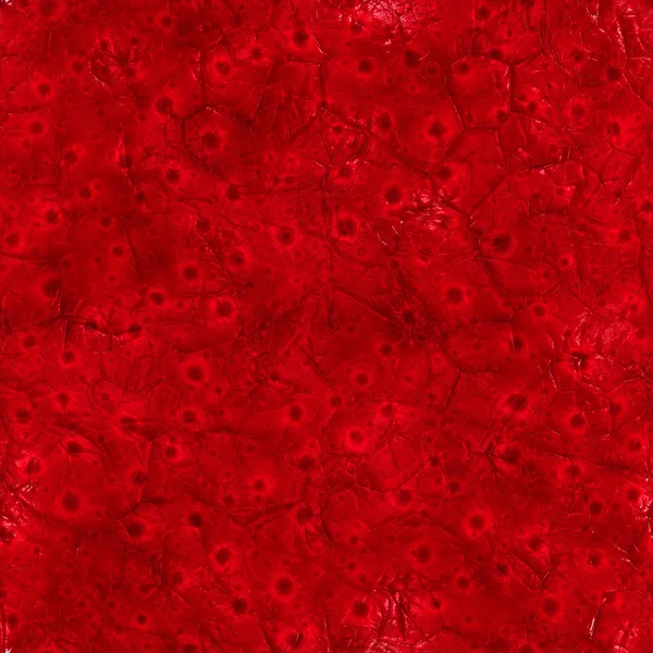 Inside body (Seamless texture) Stock Photo by ©lucato 19594489