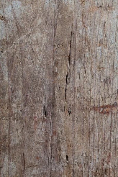 Decay wood texture background Stock Photos, Royalty Free Decay wood ...