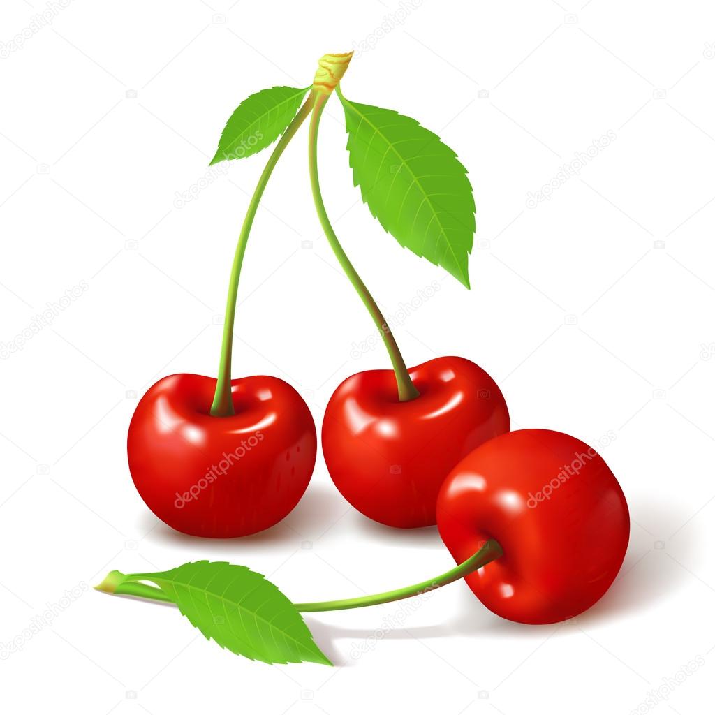 Ripe Red Cherry Berries Vector Stock Vector Image By ©amorno 29212935