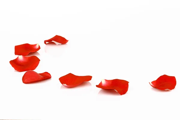 Beautiful made from red Rose petals Letter isolated on a white b Stock ...