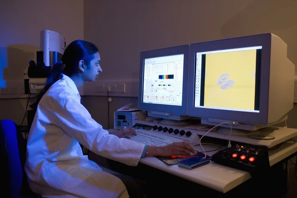 Computer science computer scientist Images - Search Images on Everypixel