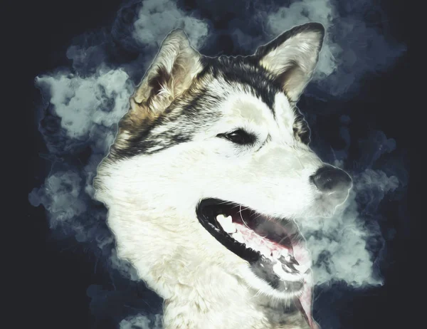 Wulf Stock Photos, Royalty Free Wulf Images | Depositphotos