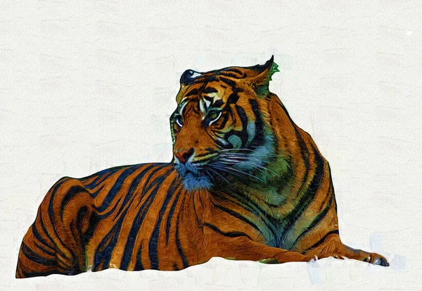 Tiger graphic Stock Photos, Royalty Free Tiger graphic Images ...