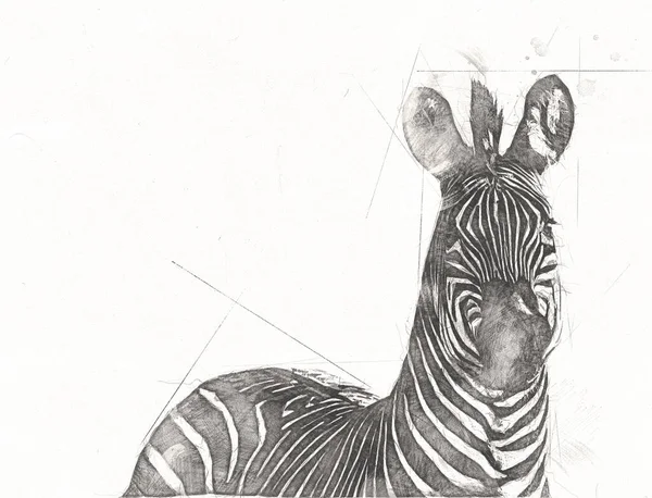 About zoo art Stock Photos, Royalty Free About zoo art Images ...