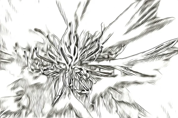 Avatar banshee drawing Stock Photos, Royalty Free Avatar banshee ...