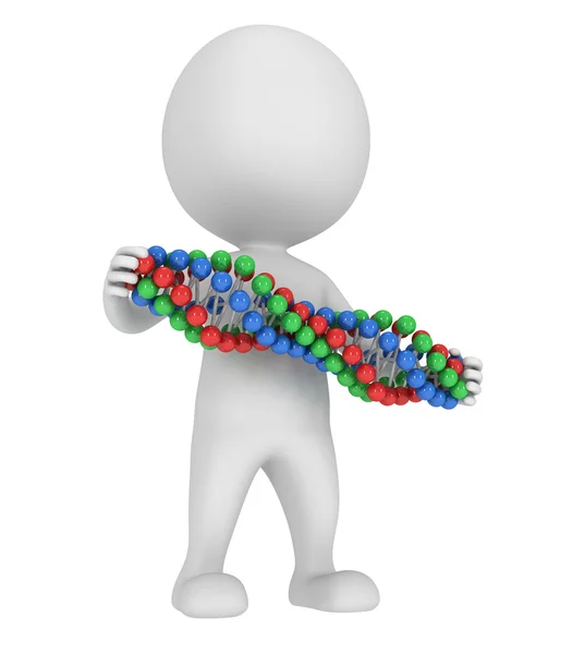 3d man with DNA chain on white. — Stock Photo © newb1 #49894307