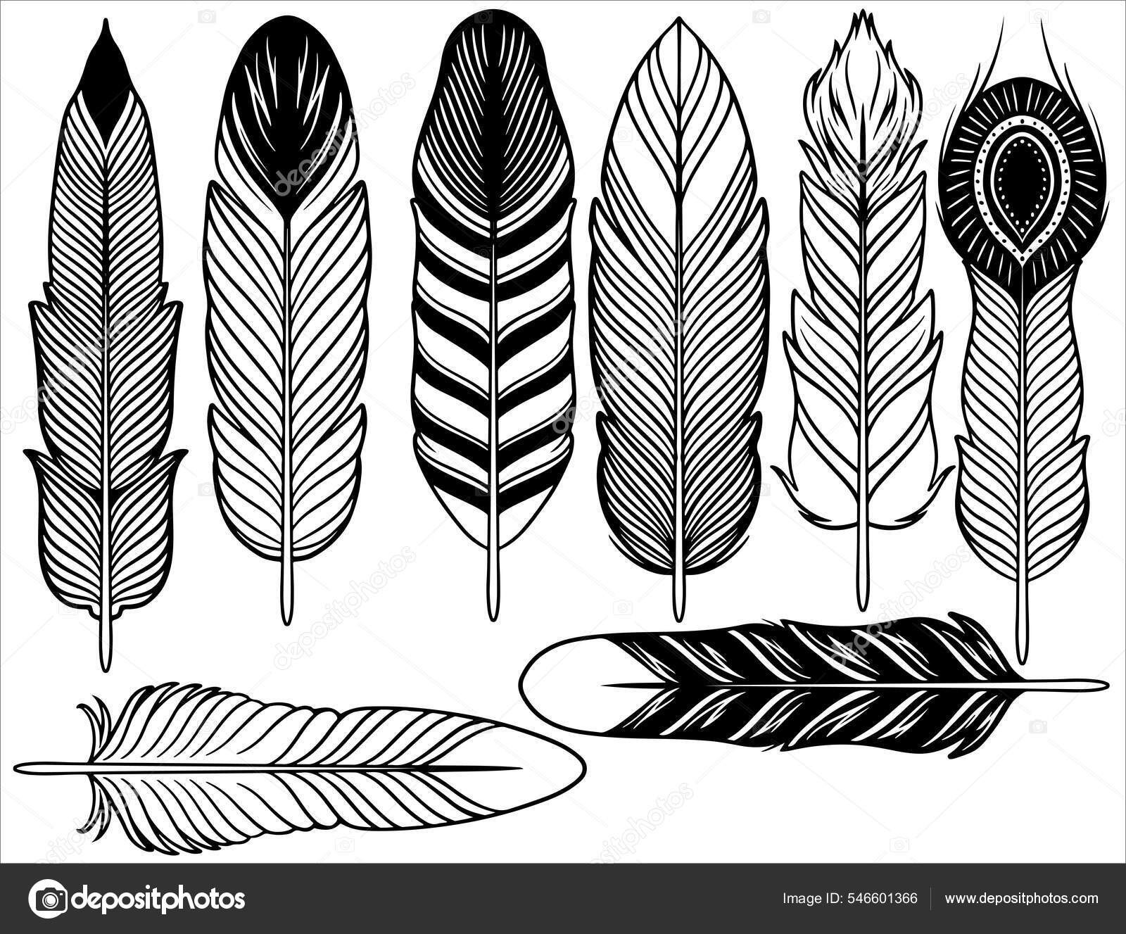 Tribal Feather Vector